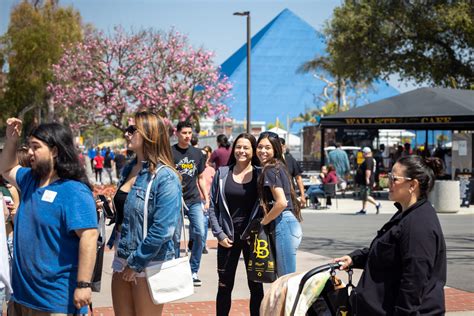 Day At The Beach Photo Gallery California State University Long Beach