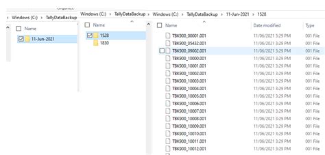 How To Automatically Take Data Backup In Tally Prevent Accidental Data Loss TallyExperts