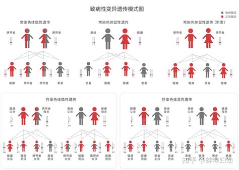 什么是遗传病？ 知乎