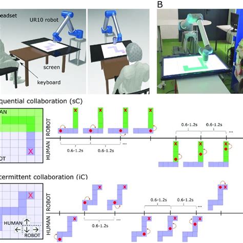 Experimental Paradigm And Setup Experimental Paradigm Featuring A
