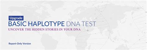 Basic Haplotype Test Upgrade Report Only Version Dna Consultants
