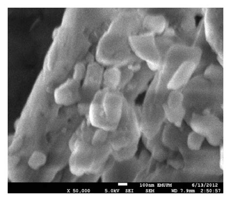 Fesem Micrographs Of Rod Shaped Caco3 Nanocrystals A Before Drug