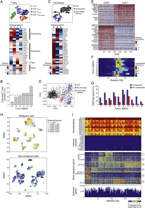 Single Cell Transcriptomic Analysis Of Primary And Metastatic Tumor Ecosystems In Head And Neck
