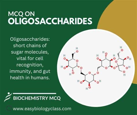 Oligosaccharides Easybiologyclass