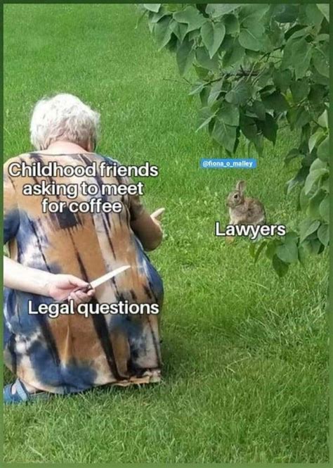 30 Funny Lawyer Memes Barnorama