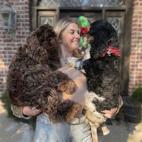 B And M Cocker Spaniels