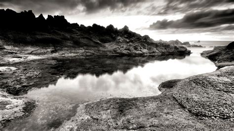Cool Black And White Nature Backgrounds