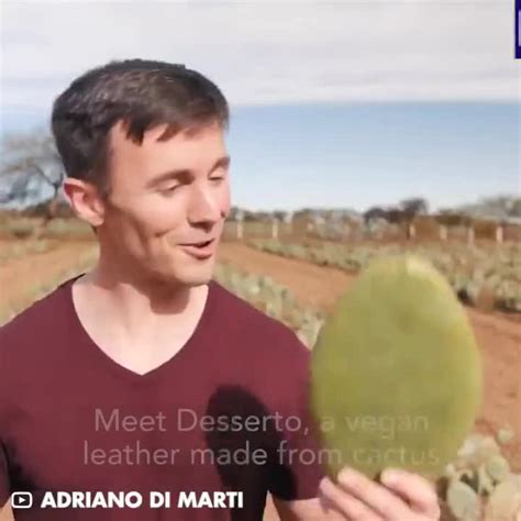 Dr Ravi Kumar Posted On Linkedin