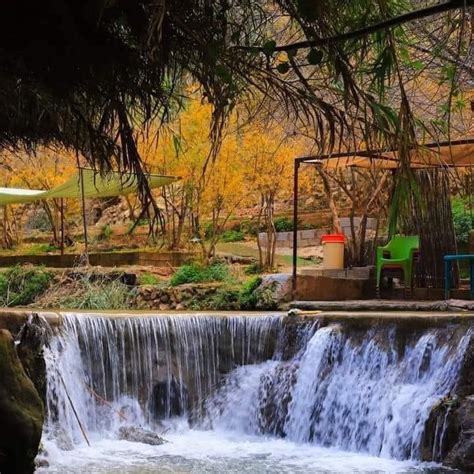 Judatia News جديتامباشر