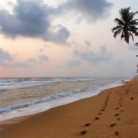 Sri Lanka Escape Private And Experienced Drivers