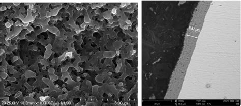 Scanning Electron Microscope Analysis Of Tio 2 Porous Layer 60