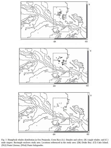 Underwater Topography Determines Critical Breeding Habitat For Humpback