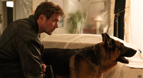 Watch The Show Hudson And Rex On Uptv