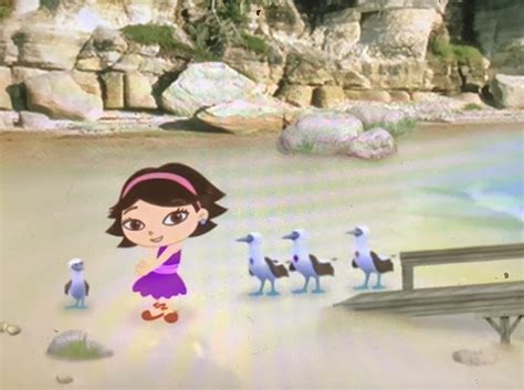 June In The Blue Footed Booby Bird Ballet By Vincenthua2025 On Deviantart