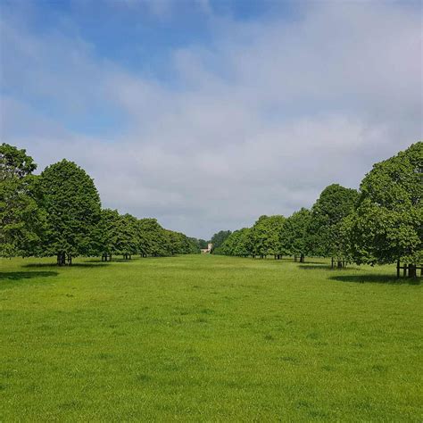 My Test Dataset Kaggle