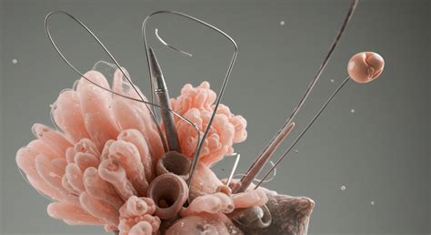 Interpretive Frameworks → Term