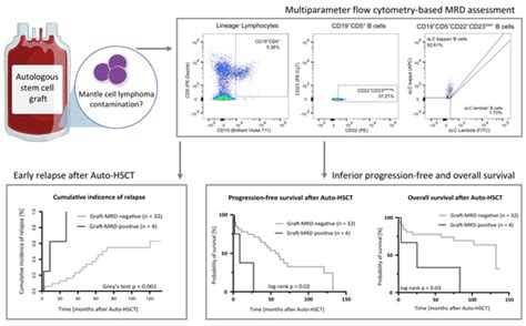 Cancers Special Issue Hematologic Malignancy