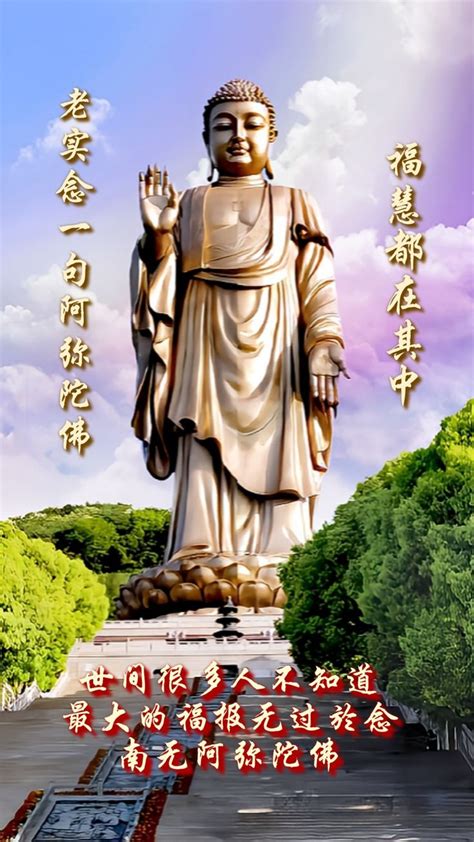 南無阿彌陀佛