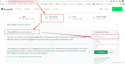 使用docker下载并安装mongodb505docker中安装mongodb5 Csdn博客