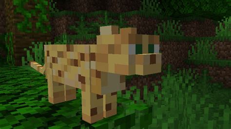 How To Tame An Ocelot In Minecraft Diamondlobby