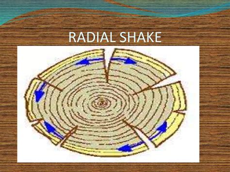 Defects In Timber Pptx