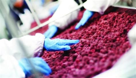 Food Industry Careers