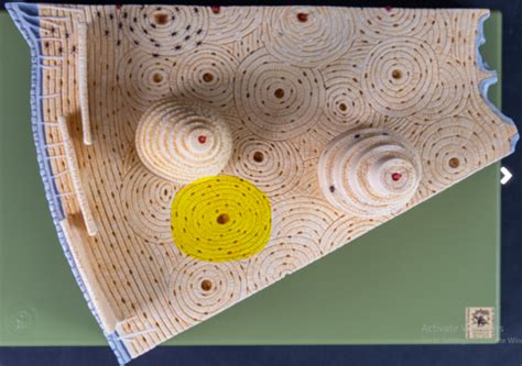 Bone Tissue Model And Skull Sutures Lab Practical 2 Flashcards Quizlet
