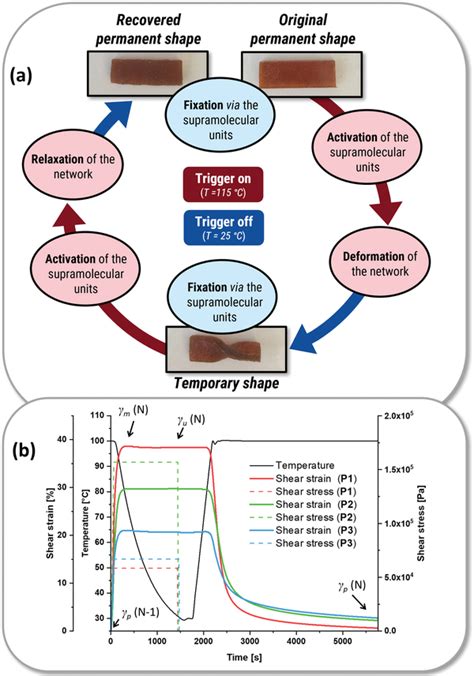 A Photo Series Of The Shape‐memory Behavior Of P2 Samples Size About