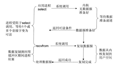 Unixlinux 网络 Io 模型简介 Csdn博客