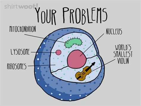 Cross Section Of Your Problems