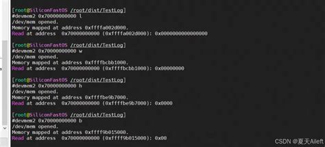devmem工具使用详解 devmem用法 csdn博客