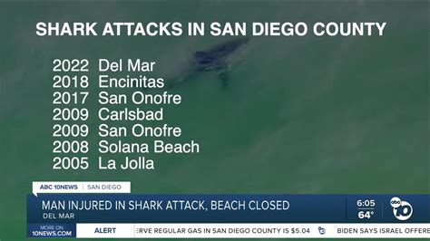 Man Hospitalized After Shark Attack In Del Mar Beaches Closed Until