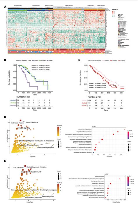 Figure 3 From Impact Of Redox Related Genes On Tumor Microenvironment