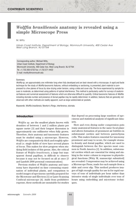 Pdf Wolffia Brasiliensis Anatomy Is Revealed Using A Simple