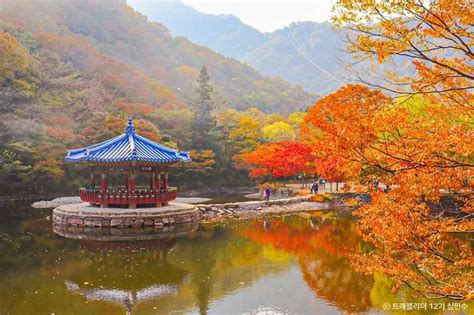Naejangsan National Park 내장산국립공원 Visitkorea