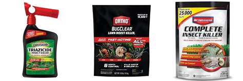 Top 5 Lawn Insecticide Reviews And Guide For Pest Control