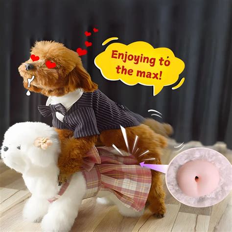 Male Dog Sex Toy The Ultimate Guide To Supporting Your Dogs Health