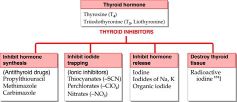 Thyroid Hormone