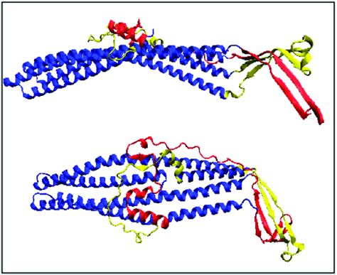 Two Different Orientations Of The Dimer Structure A 6 Mer Section With