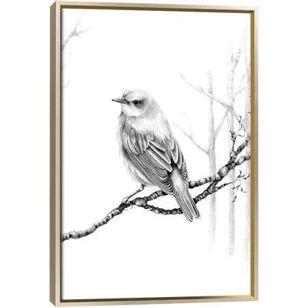 Black And White Bird Pencil Drawings Birds Bird Sketches On White