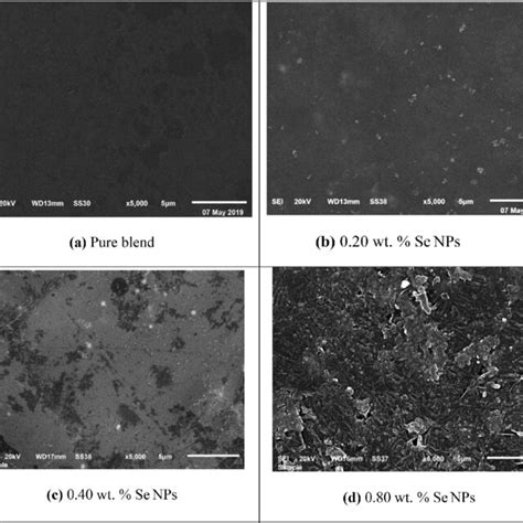 sem micrographs of pure pva cmc se nps nanocomposites at magnification