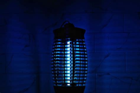 Which Are The Advantages Of Buzz B Gone