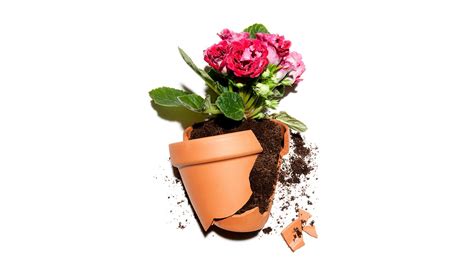 We Need To Talk More About Mental Health At Work Catherine Wolfe Coote