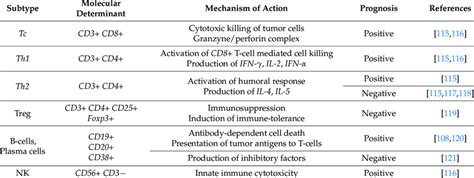 Examples Of Lymphocyte Subtypes Infiltrating Tumors And Their