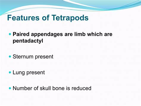 Comparative Anatomy Of The Limb Pptx