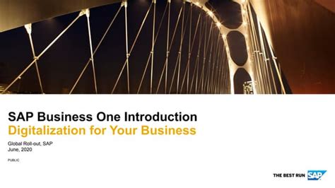 Introduction To Sapbusinessone Pdf Small And Medium Sized Business Business