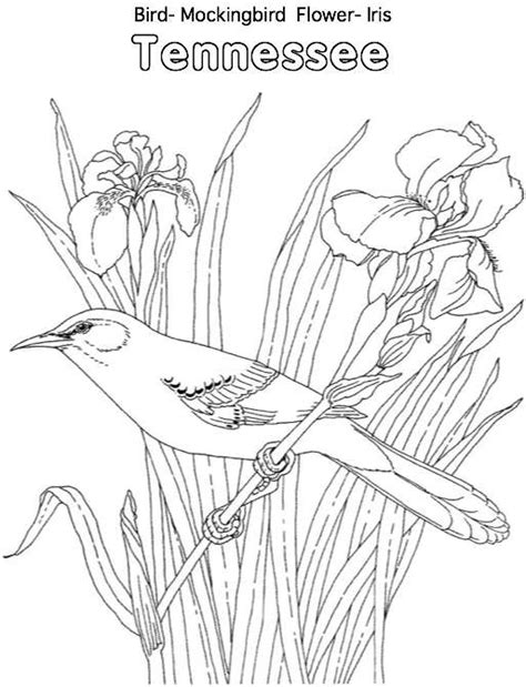 Tennessee State Coloring Pages Sketch Coloring Page