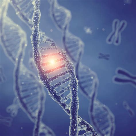 Genomics Vs Genetics Open Medicine Foundation
