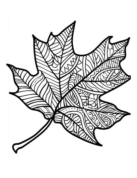 Free Fall Leaf Coloring Pages Pdf Download In 2025 Leaf Coloring