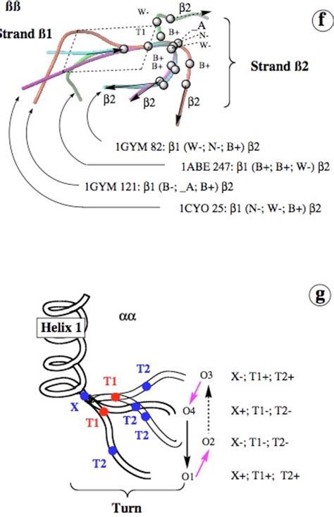 figure 1 from classification of supersecondary structures in proteins using the automated